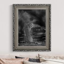 Bilderwelten Leinwandbild mit Barockrahmen Gepard in der Wildness