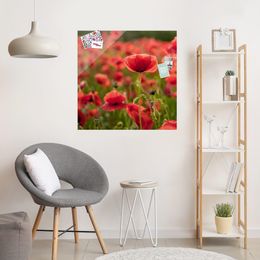 Bilderwelten Glasbild Blumen Motiv rot Glas Wandbild - Mohnfeld im Sonnenlicht - Deko Wohnzimmer Schlafzimmer