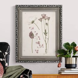 Bilderwelten Bild mit Barockrahmen Antik Vintage Barock beige - Herbarium in rosa II - Pflanzen Wohnzimmer Schlafzimmer
