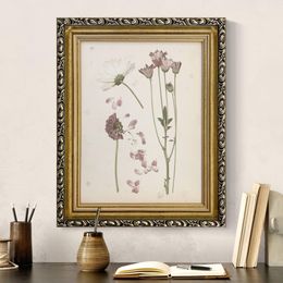 Bilderwelten Leinwandbild mit Barockrahmen Herbarium in rosa II