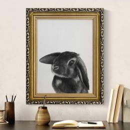 Bilderwelten Bild mit Barockrahmen Antik Tiere modern Aquarell schwarz weiss - Illustration Hase Schwarz Wei&szlig; Zeichnung - edle Optik Jugendzimmer