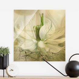 Bilderwelten Glasbild Blumen Landhaus weiss Glas Wandbild - Wei&szlig;e Nigella - Deko Wohnzimmer Schlafzimmer
