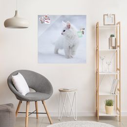 Bilderwelten Glasbild Tiere modern einzigartig Glas Wandbild - Wei&szlig; wie Schnee - Deko Wohnzimmer Schlafzimmer