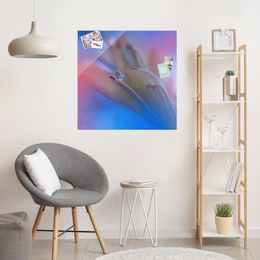 Bilderwelten Glasbild Blumen Motiv blau Glas Wandbild - Touch Me Softly - Deko Wohnzimmer Schlafzimmer