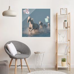 Bilderwelten Glasbild Tiere modern weiss Glas Wandbild - Schimmelherde - Deko Wohnzimmer Schlafzimmer