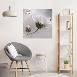Bilderwelten Glasbild Blumen Motiv beige Glas Wandbild - Simply Cosmos - Deko Wohnzimmer Schlafzimmer