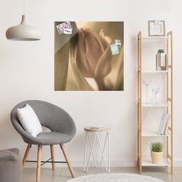 Bilderwelten Glasbild Blumen Landhaus beige Glas Wandbild - Zarte Tulpen - Deko Wohnzimmer Schlafzimmer