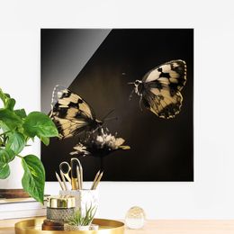 Bilderwelten Glasbild Tiere Motiv schwarz weiss Glas Wandbild - Medioluto Norte - Deko Wohnzimmer Schlafzimmer