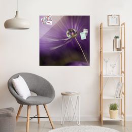 Bilderwelten Glasbild Blumen Motiv violett Glas Wandbild - Pusteblume in Violett - Deko Wohnzimmer Schlafzimmer