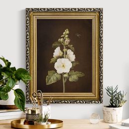 Bilderwelten Bild mit Barockrahmen Antik Blumen modern Barock braun - Barbara Regina Dietzsch - Stockrose - Rose Wohnzimmer Schlafzimmer