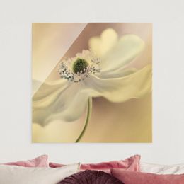 Bilderwelten Glasbild Blumen modern weiss Glas Wandbild - Anemonenbrise - Deko Wohnzimmer Schlafzimmer