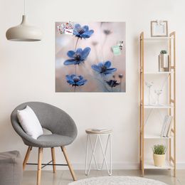 Bilderwelten Glasbild Blumen modern einzigartig Glas Wandbild - Blaue Kosmeen - Deko Wohnzimmer Schlafzimmer