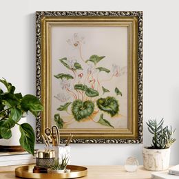 Bilderwelten Bild mit Barockrahmen Antik Blumen Vintage Barock gr&uuml;n - Anna Maria Sibylla Merian - Wei&szlig;e Veilchen - Pflanzen Wohnzimmer Schlafzimmer