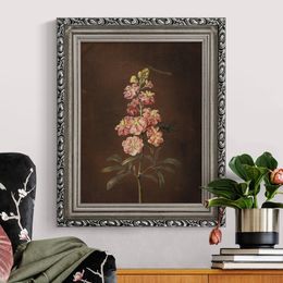 Bilderwelten Leinwandbild mit Barockrahmen Barbara Regina Dietzsch - Eine rosa Garten-Levkkoje