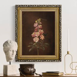 Bilderwelten Gerahmtes Leinwandbild Barbara Regina Dietzsch - Eine rosa Garten-Levkkoje