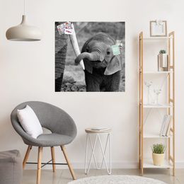 Bilderwelten Glasbild Tiere Motiv schwarz weiss Glas Wandbild - Elefantenbaby - Deko Wohnzimmer Schlafzimmer