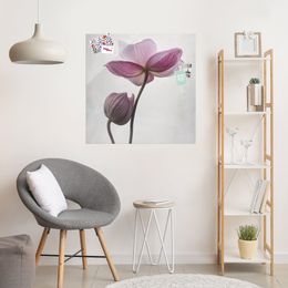 Bilderwelten Glasbild Blumen Tropisch rosa Glas Wandbild - Anemonen in rosa - Deko Wohnzimmer Schlafzimmer