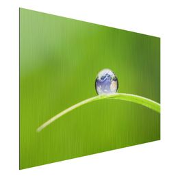 Bilderwelten Alu Dibond Outdoor Bild Blumen gr&uuml;n modern wetterfest - Gr&uuml;ne Hoffnung - Himmel Wohnzimmer Schlafzimmer