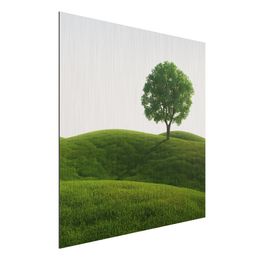 Bilderwelten Alu-Dibond Outdoor Bild Gr&uuml;ne Ruhe