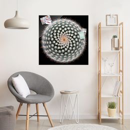 Bilderwelten Glasbild Blumen Tropisch schwarz Glas Wandbild - Kaktusbl&uuml;te - Deko Wohnzimmer Schlafzimmer