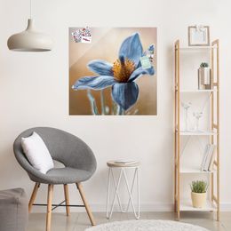 Bilderwelten Glasbild Blumen Motiv blau Glas Wandbild - Kuhschelle in Blau - Deko Wohnzimmer Schlafzimmer