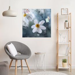 Bilderwelten Glasbild Blumen Motiv blau Glas Wandbild - Kosmeen in Pastell - Deko Wohnzimmer Schlafzimmer