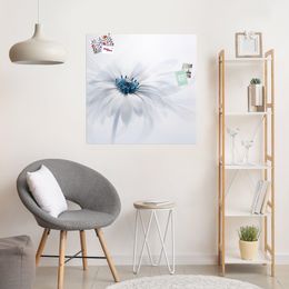 Bilderwelten Glasbild Blumen Motiv einzigartig Glas Wandbild - G&auml;nsebl&uuml;mchen in Blau - Deko Wohnzimmer Schlafzimmer