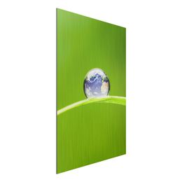 Bilderwelten Alu Dibond Outdoor Bild Blumen gr&uuml;n modern wetterfest - Gr&uuml;ne Hoffnung - Himmel Wohnzimmer Schlafzimmer
