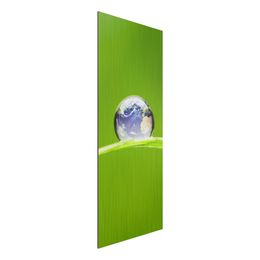 Bilderwelten Alu Dibond Outdoor Bild Blumen gr&uuml;n modern wetterfest - Gr&uuml;ne Hoffnung - Himmel Wohnzimmer Schlafzimmer