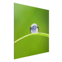 Bilderwelten Alu-Dibond Outdoor Bild Gr&uuml;ne Hoffnung
