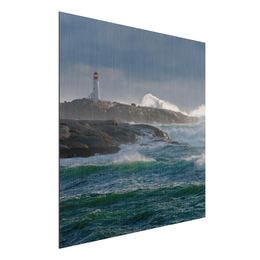 Bilderwelten Alu-Dibond Outdoor Bild Im Schutz des Leuchtturms