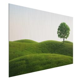 Bilderwelten Alu Dibond Outdoor Bild Wald einzigartig modern wetterfest - Gr&uuml;ne Ruhe - B&auml;ume Wohnzimmer Schlafzimmer