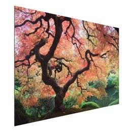 Bilderwelten Alu-Dibond Outdoor Bild Japanischer Garten