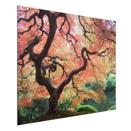 Bilderwelten Alu-Dibond Outdoor Bild Japanischer Garten
