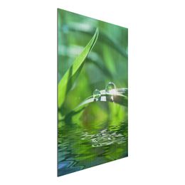 Bilderwelten Alu Dibond Outdoor Bild Blumen gr&uuml;n Tropisch wetterfest - Green Ambiance II - Gr&auml;ser Wohnzimmer Schlafzimmer