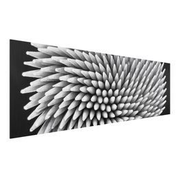 Bilderwelten Alu Dibond Outdoor Bild Blumen einzigartig modern wetterfest - Hypnosis - Deko Wohnzimmer Schlafzimmer