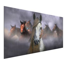 Bilderwelten Alu Dibond Outdoor Bild Tiere einzigartig Motiv wetterfest - Horses in the Dust - Pferde Wohnzimmer Schlafzimmer
