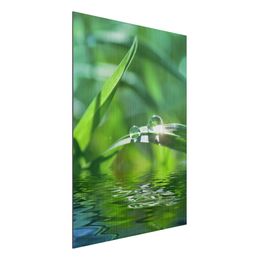 Bilderwelten Alu-Dibond Outdoor Bild Green Ambiance II
