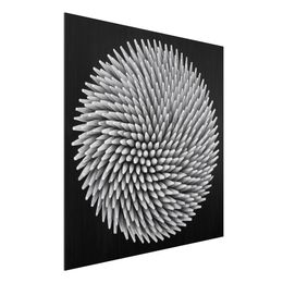 Bilderwelten Alu-Dibond Outdoor Bild Hypnosis