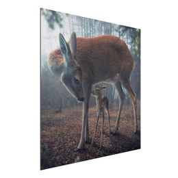Bilderwelten Alu-Dibond Outdoor Bild Mutter und Kitz
