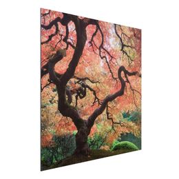 Alu-Dibond Natur & Landschaft Japanischer Garten