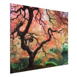 Bilderwelten Alu-Dibond Outdoor Bild Japanischer Garten