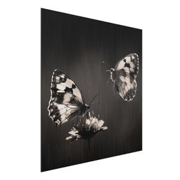Bilderwelten Alu Dibond Outdoor Bild Tiere schwarz weiss Motiv wetterfest - Medioluto Norte - Schmetterlinge Wohnzimmer Schlafzimmer