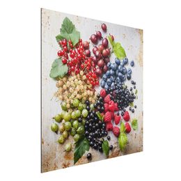Bilderwelten Alu Dibond Outdoor Bild Kulinarisch bunt modern wetterfest - Mischung aus Beeren auf Metall - Obst K&uuml;che