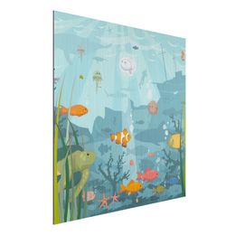 Bilderwelten Alu Dibond Outdoor Bild Tiere einzigartig modern wetterfest - Meereslandschaft - Fische Kinderzimmer Baby M&auml;dchen Jungen