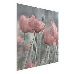 Bilderwelten Alu Dibond Outdoor Bild Blumen rosa Motiv wetterfest - Malerische Mohnblumen - Mohn Wohnzimmer Schlafzimmer