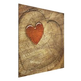 Bilderwelten Alu-Dibond Outdoor Bild Natural Love Panorama