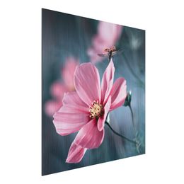 Bilderwelten Alu Dibond Outdoor Bild Blumen rosa Motiv wetterfest - Marienk&auml;fer beim Start - Deko Wohnzimmer Schlafzimmer