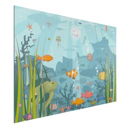 Bilderwelten Alu Dibond Outdoor Bild Tiere einzigartig modern wetterfest - Meereslandschaft - Fische Kinderzimmer Baby M&auml;dchen Jungen
