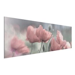 Bilderwelten Alu Dibond Outdoor Bild Blumen rosa Motiv wetterfest - Malerische Mohnblumen - Mohn Wohnzimmer Schlafzimmer
